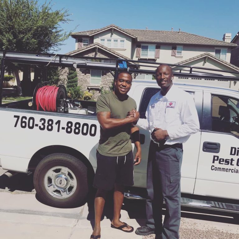 Best Pest Control in the Inland Empire and High Desert